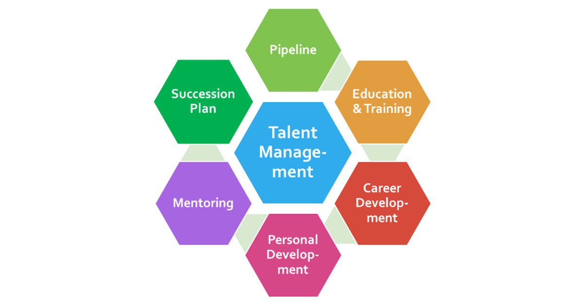 A Talent Management Program Facilitates Seamless Succession